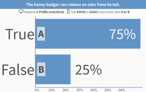 Introducing clearer, faster poll charts