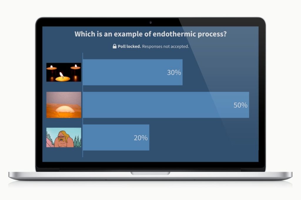 16 beautiful picture poll ideas you can use today