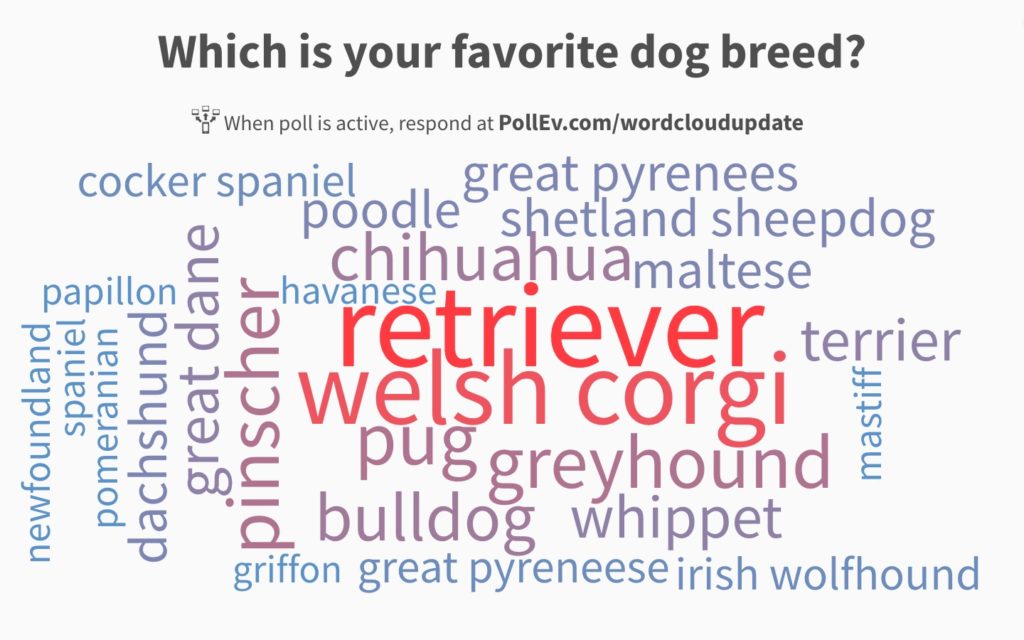 Guide to Word Cloud Customization with Poll Everywhere