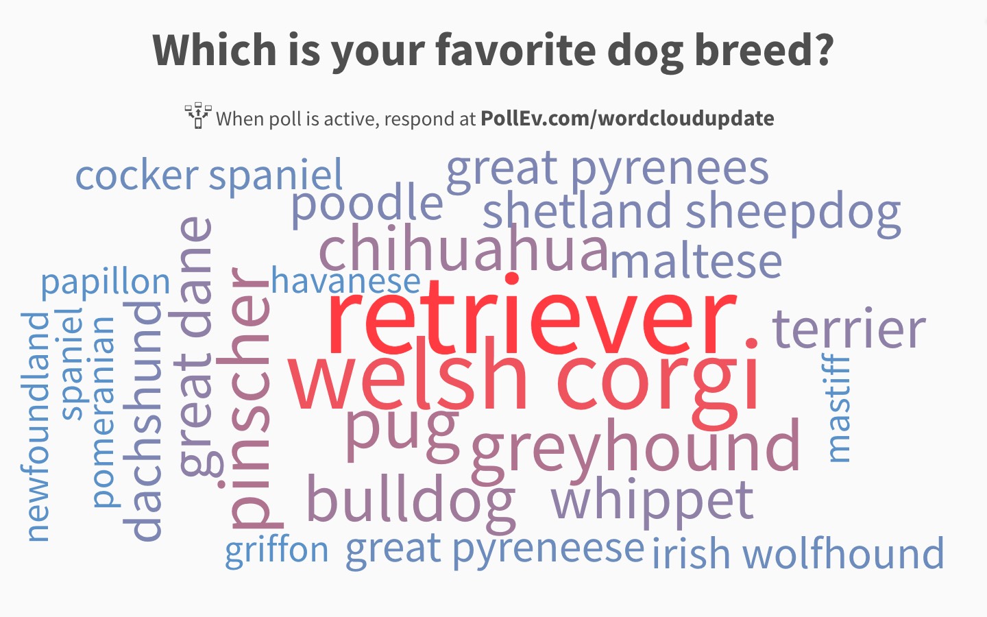 Guide to Word Cloud Customization with Poll Everywhere